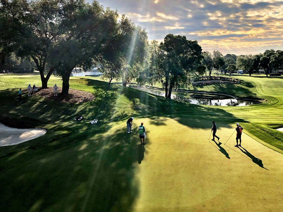 Golf at Innisbrook Golf Resort - Premier Golfing Experience