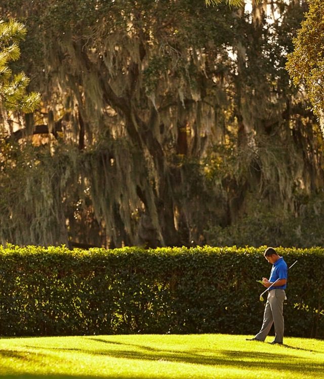 Golf at Innisbrook Golf Resort - Premier Golfing Experience