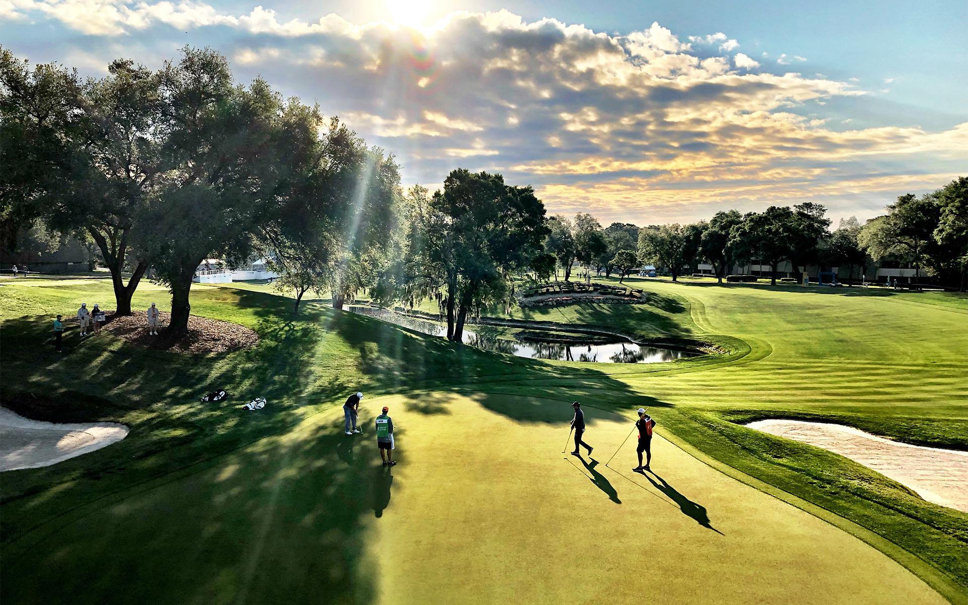 Innisbrook Golf Resort - Luxury Golf Retreat in Florida